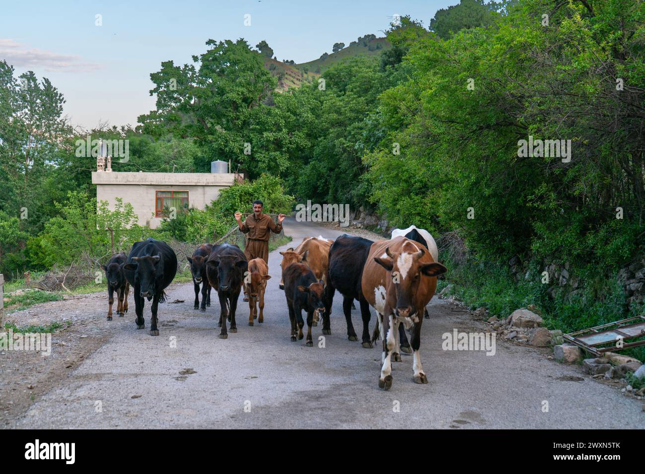 Iraqi woman hi-res stock photography and images - Alamy