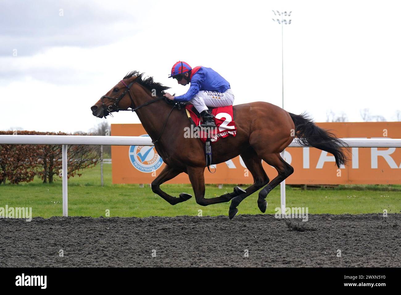 Dubai honour horse hi-res stock photography and images - Alamy