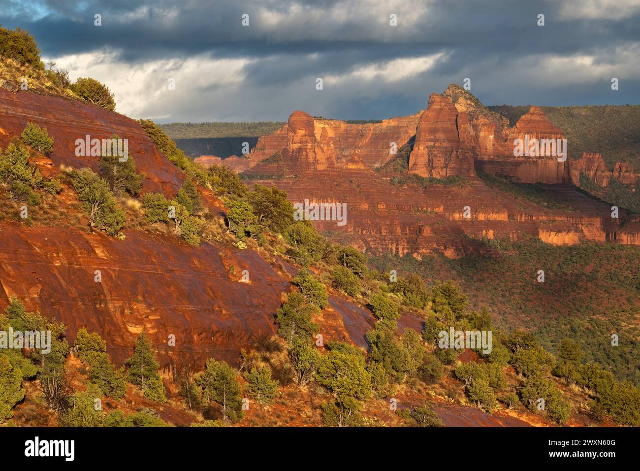 Mitten Ridge, morning, Sedona, Arizona, USA, by Dominique Braud ...