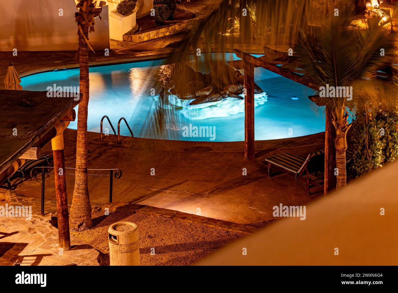 Night view of an illuminated swimming pool with blue background, palm ...