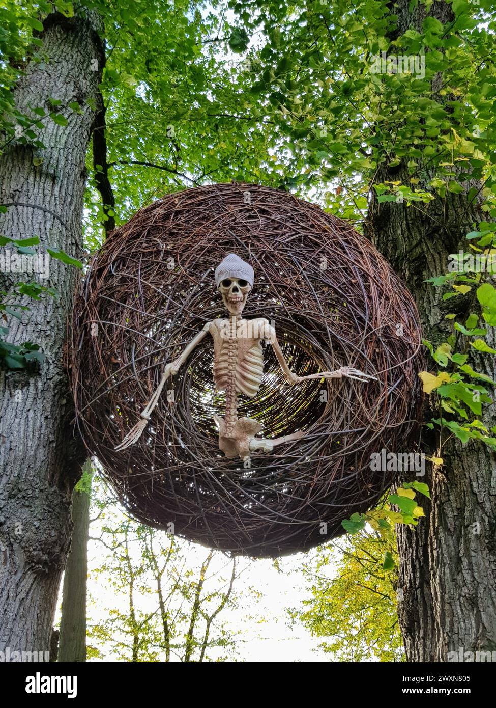A skeleton looking from tree nest Pairi Daiza, Belgium Stock Photo - Alamy