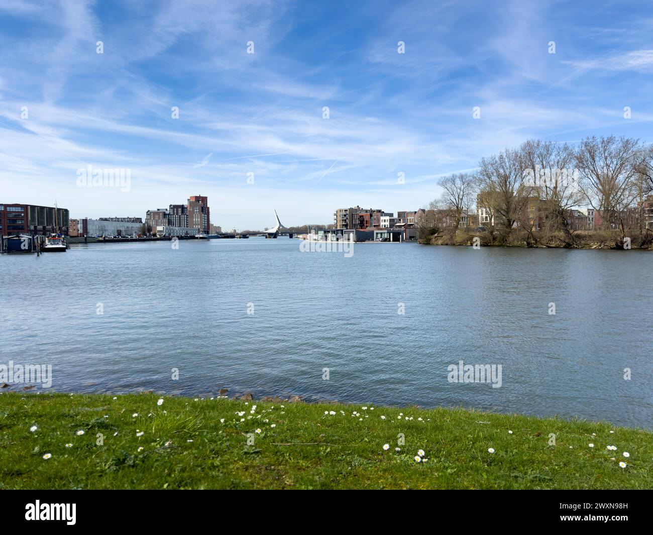 Picturesque vista unfolds over the river, capturing the Prins Clausbrug ...