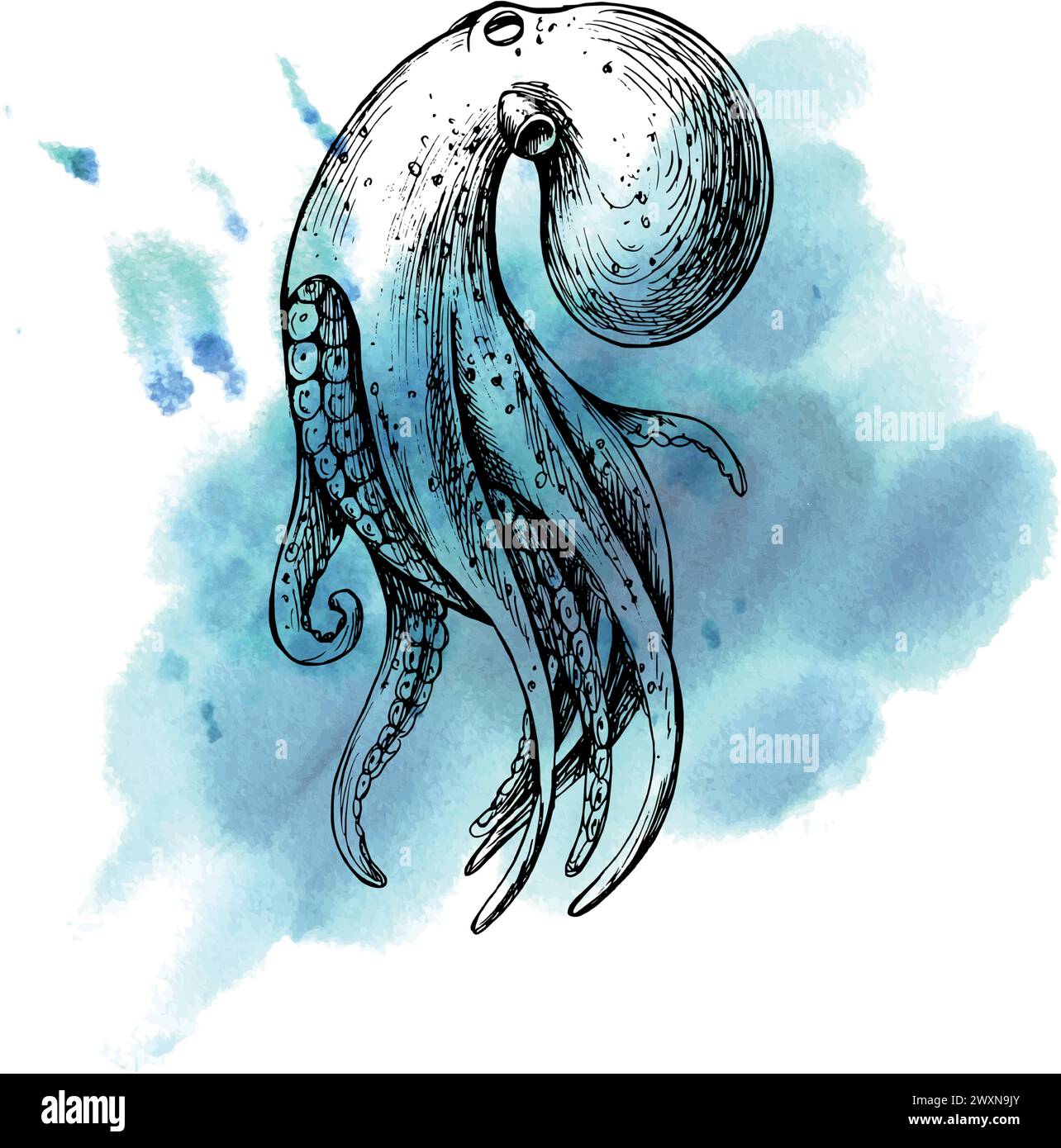 Starfish ocean world sealife Stock Vector Images - Alamy