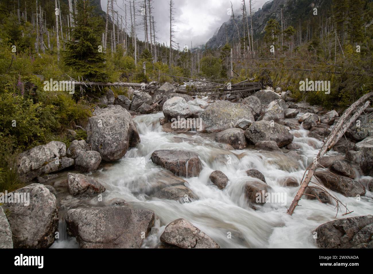 The majestic Obrovsky waterfall in Slovakia with rocky surroundings ...
