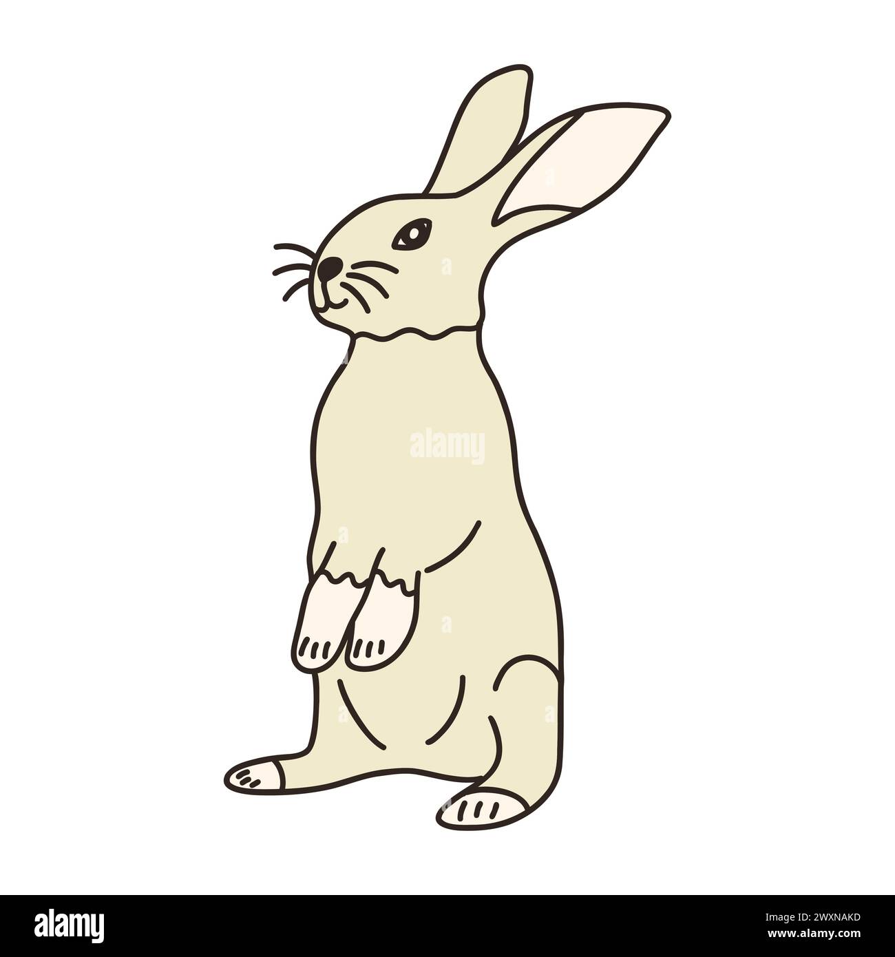 Cute gray hare stands on hind legs. Adorable rabbit, wild forest animal ...