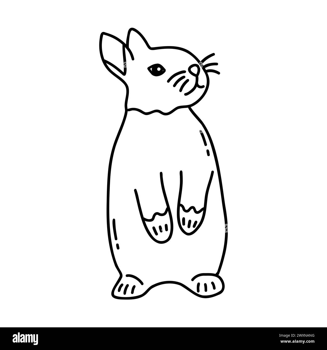 Cute hare stands on hind legs. Adorable rabbit, wild forest animal ...