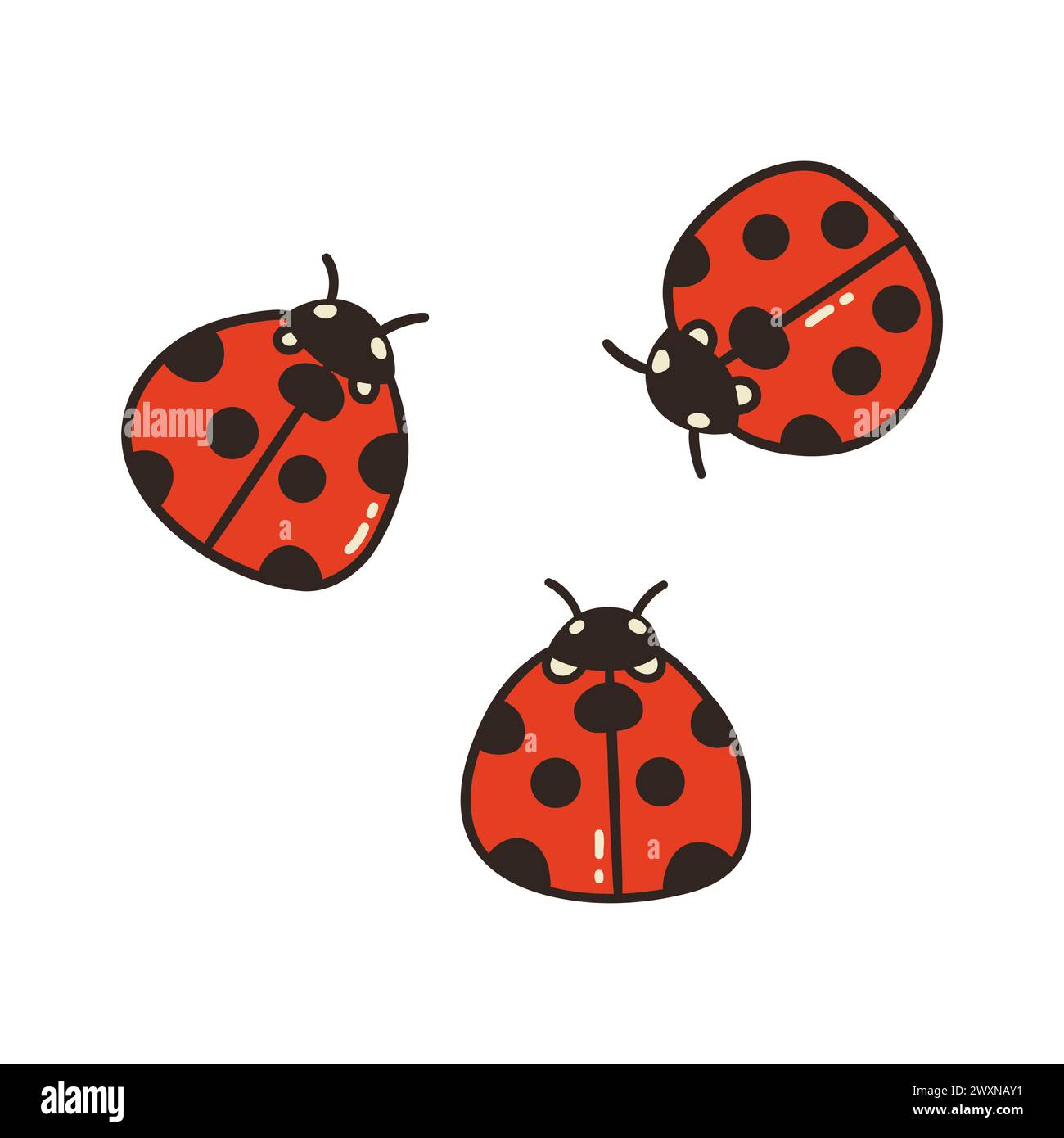 Three ladybugs. Cute red insects with black polka dots. Spring and ...