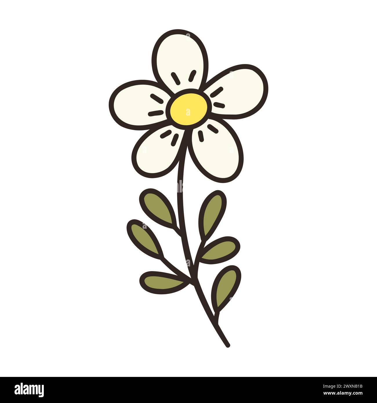 Chamomile flower. Sprig with blooming daisy. Colorful vector doodle ...