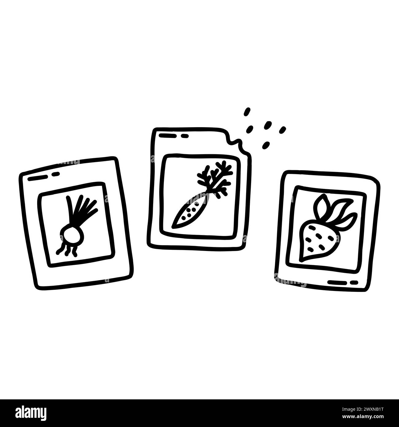 Vegetable seed packets. Carrot, beet and onion. Spring gardening season ...