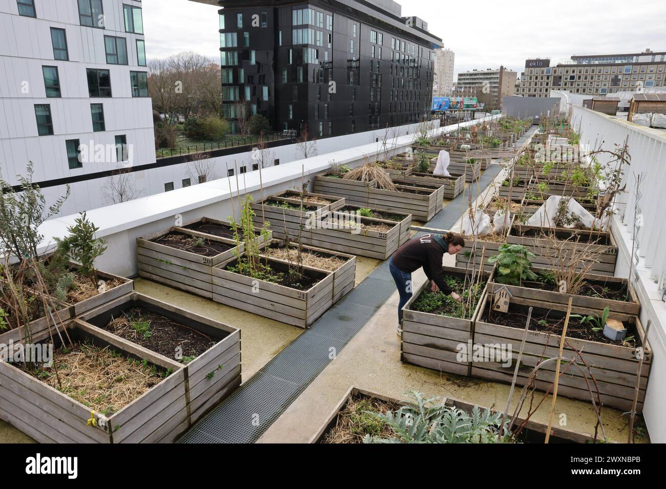 © PHOTOPQR/LE PARISIEN/Olivier Lejeune ; PARIS ; 13/03/2024 ; l ...