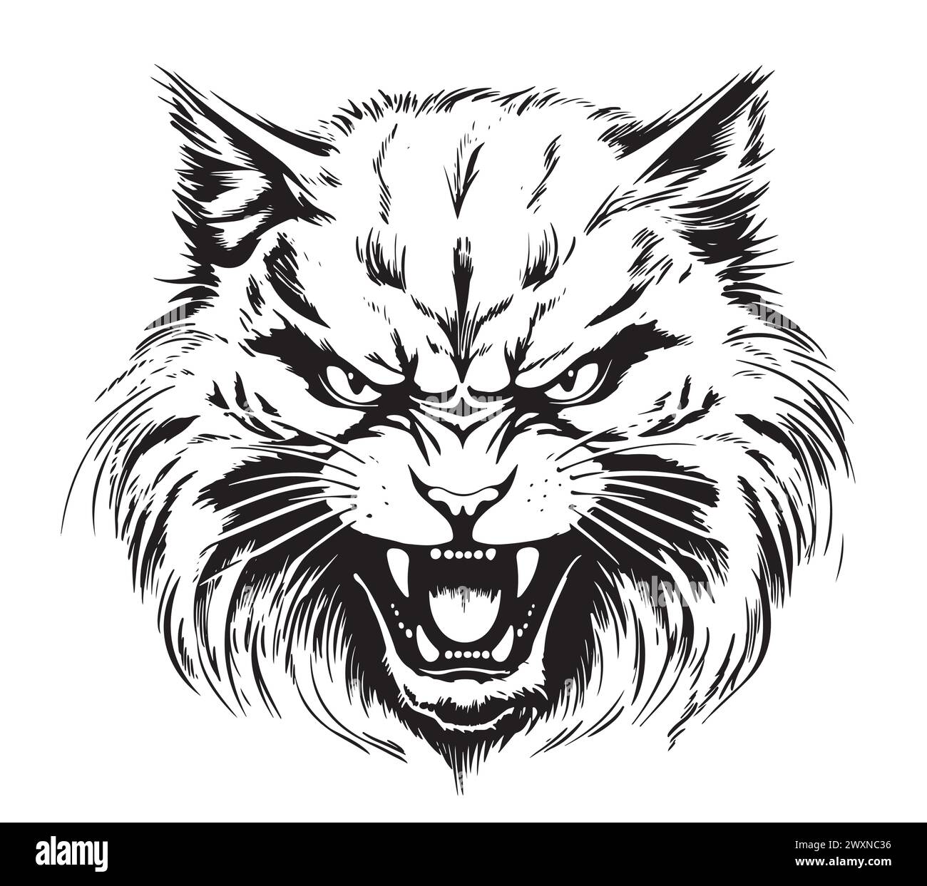 Cat. Creative design. portrait of a angry cat on a white background ...