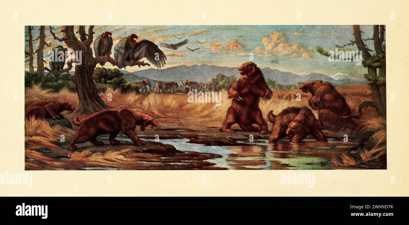 Vintage Prehistoric animal artwork. The Restauration of the Great Pool ...
