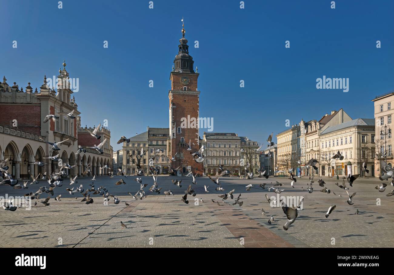 Old market square pigeons hi-res stock photography and images - Alamy