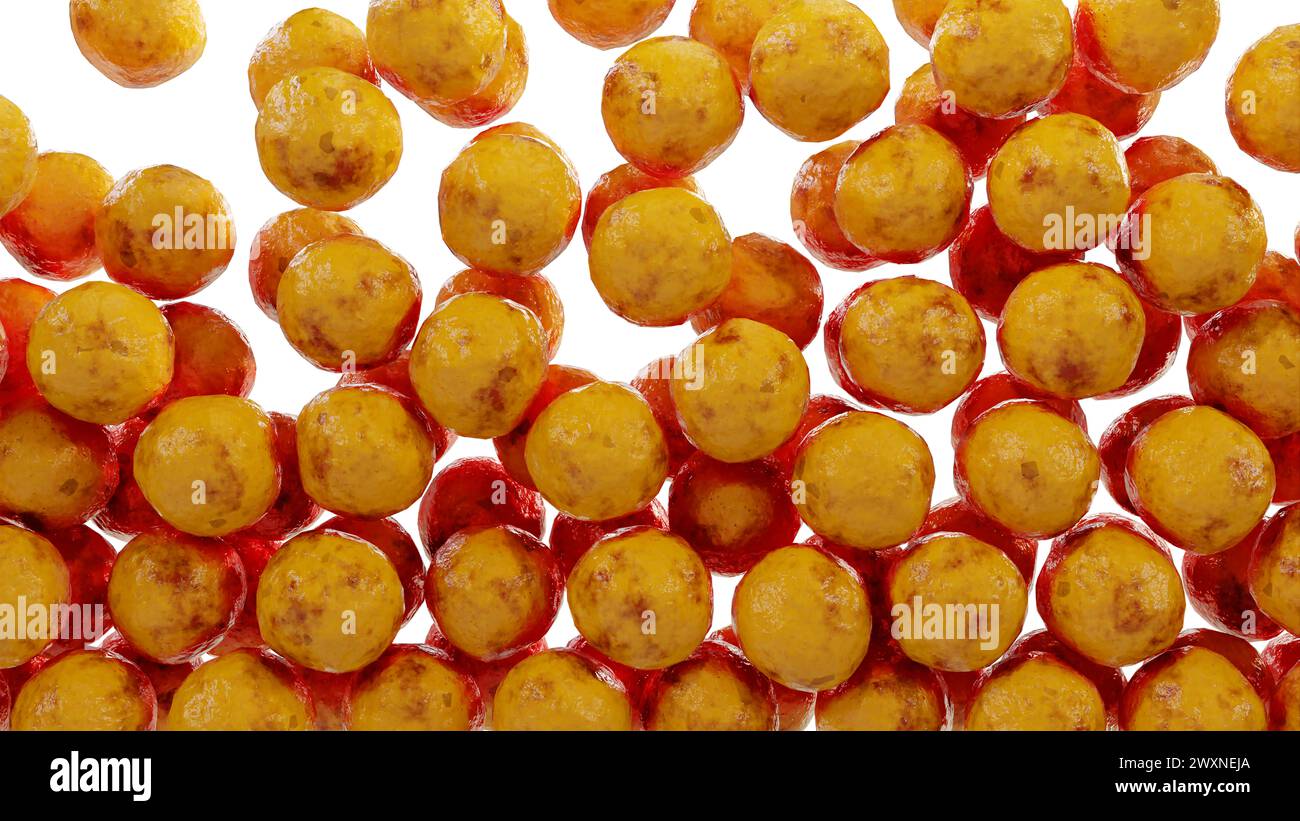 Weight loss Comparison. man body transformation. Before and after a ...