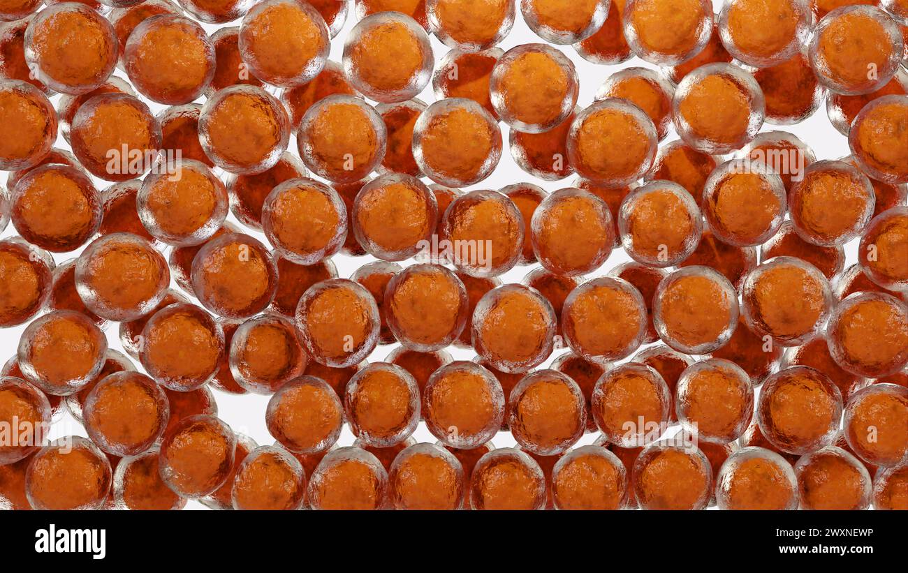 Weight loss Comparison. man body transformation. Before and after a ...