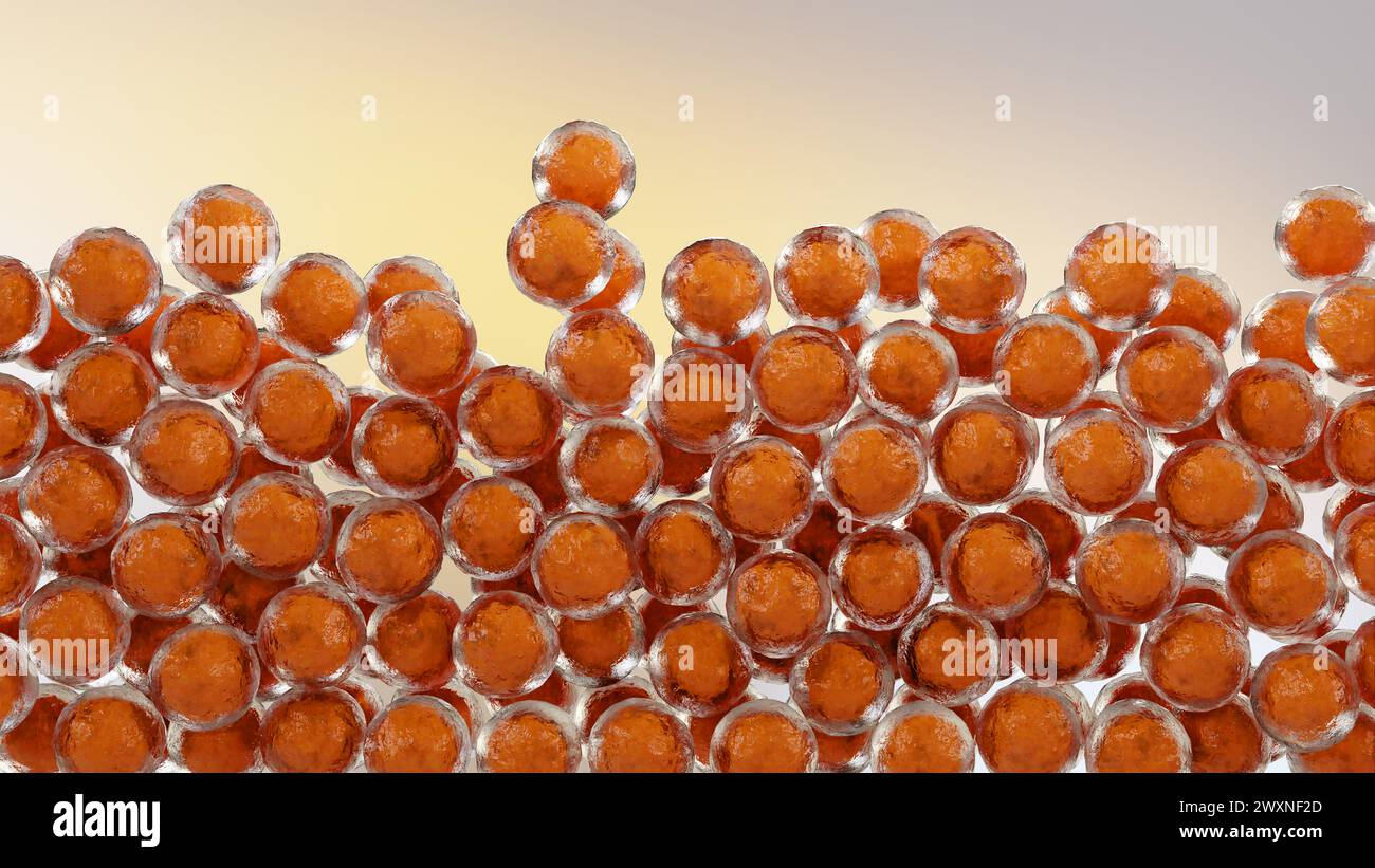 Weight loss Comparison. man body transformation. Before and after a ...