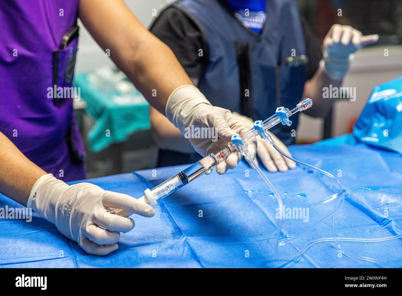 The procedure of inserting a double lumen catheter into a patient with ...