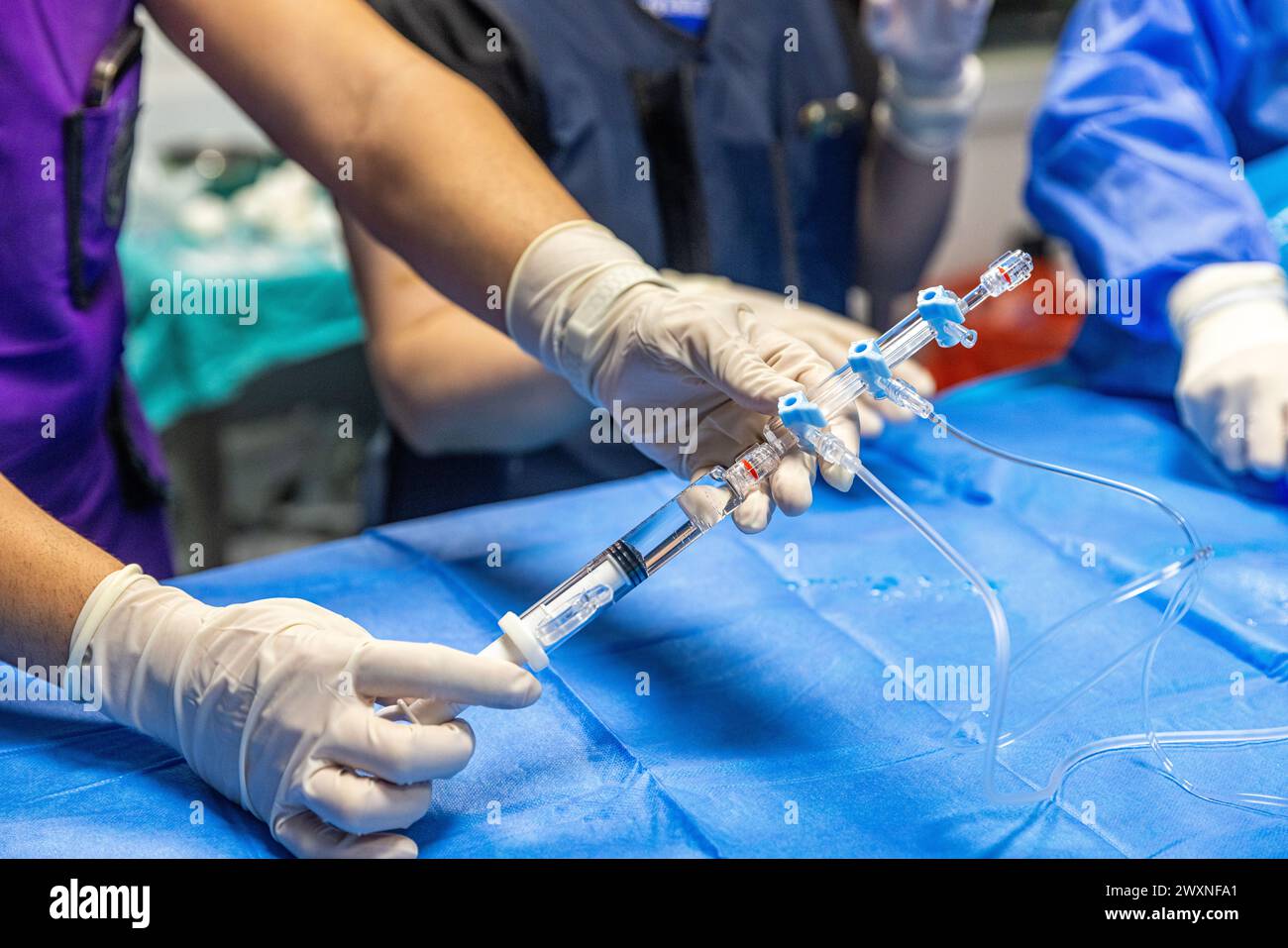 The procedure of inserting a double lumen catheter into a patient with ...