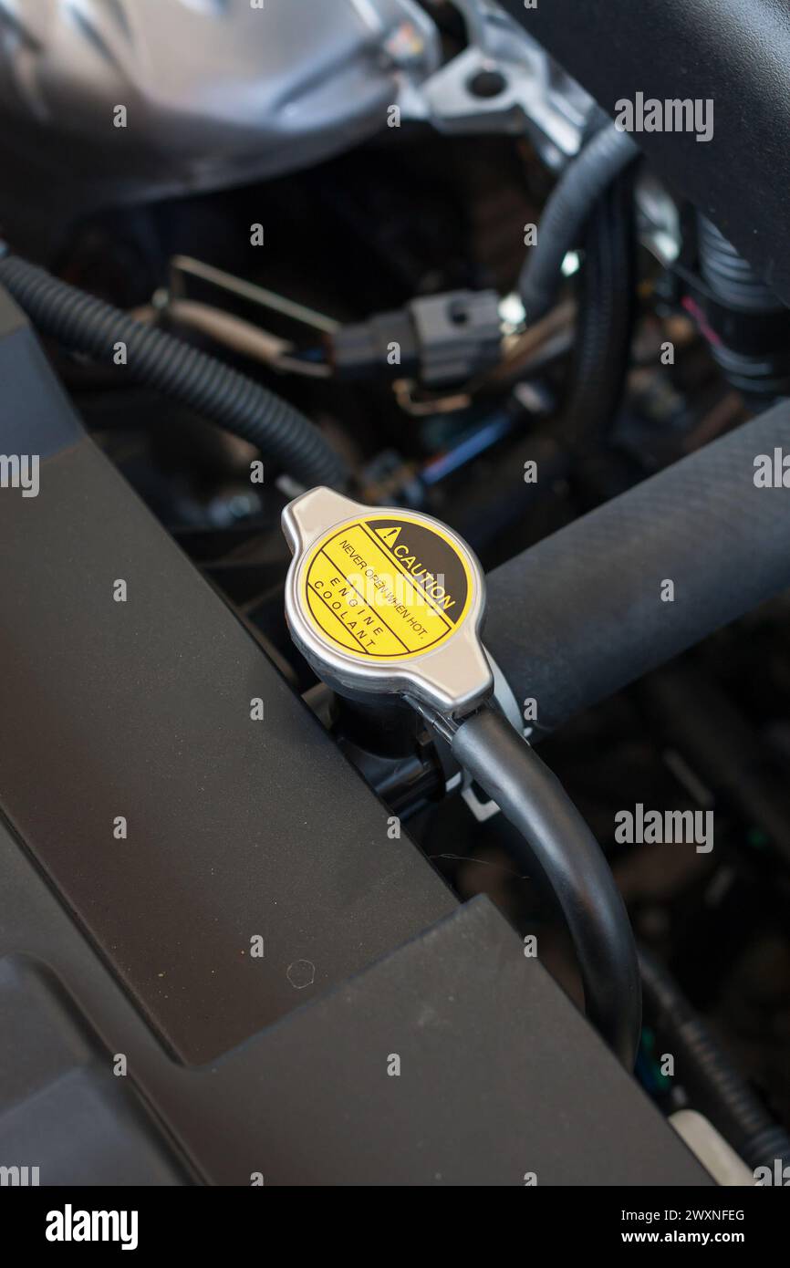 coolant system in the car Stock Photo - Alamy