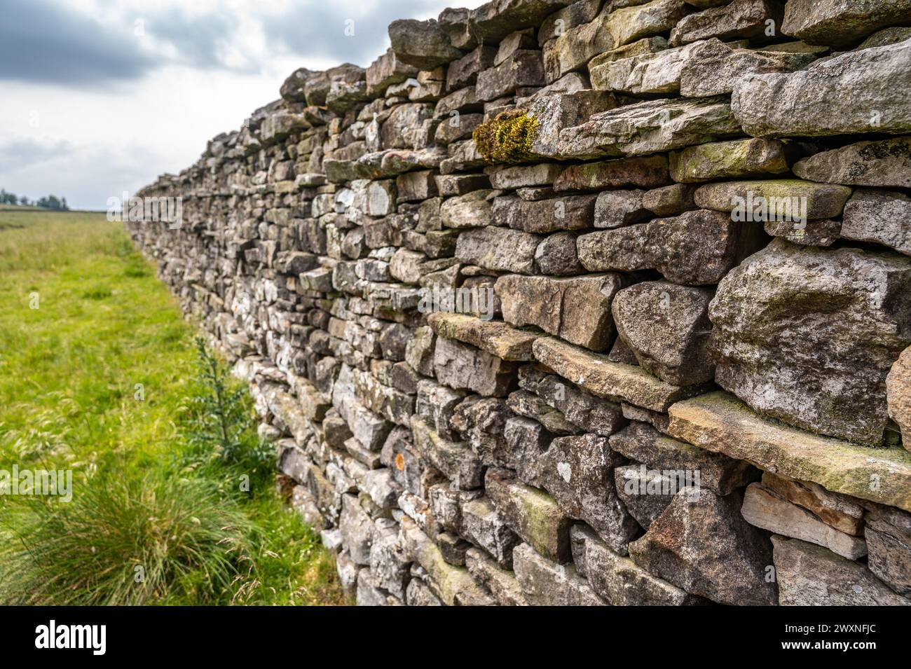 Wall of a field hi-res stock photography and images - Alamy