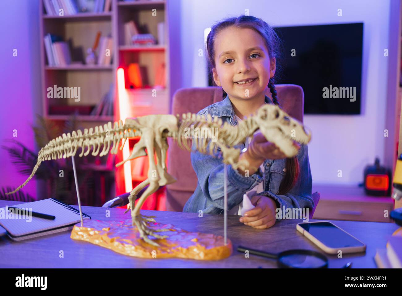 Focused little girl making model of tyrannosaurus out of bones Stock ...