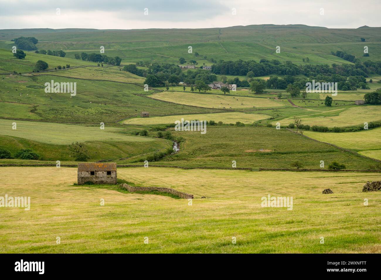 Paisaje de dale hi-res stock photography and images - Alamy
