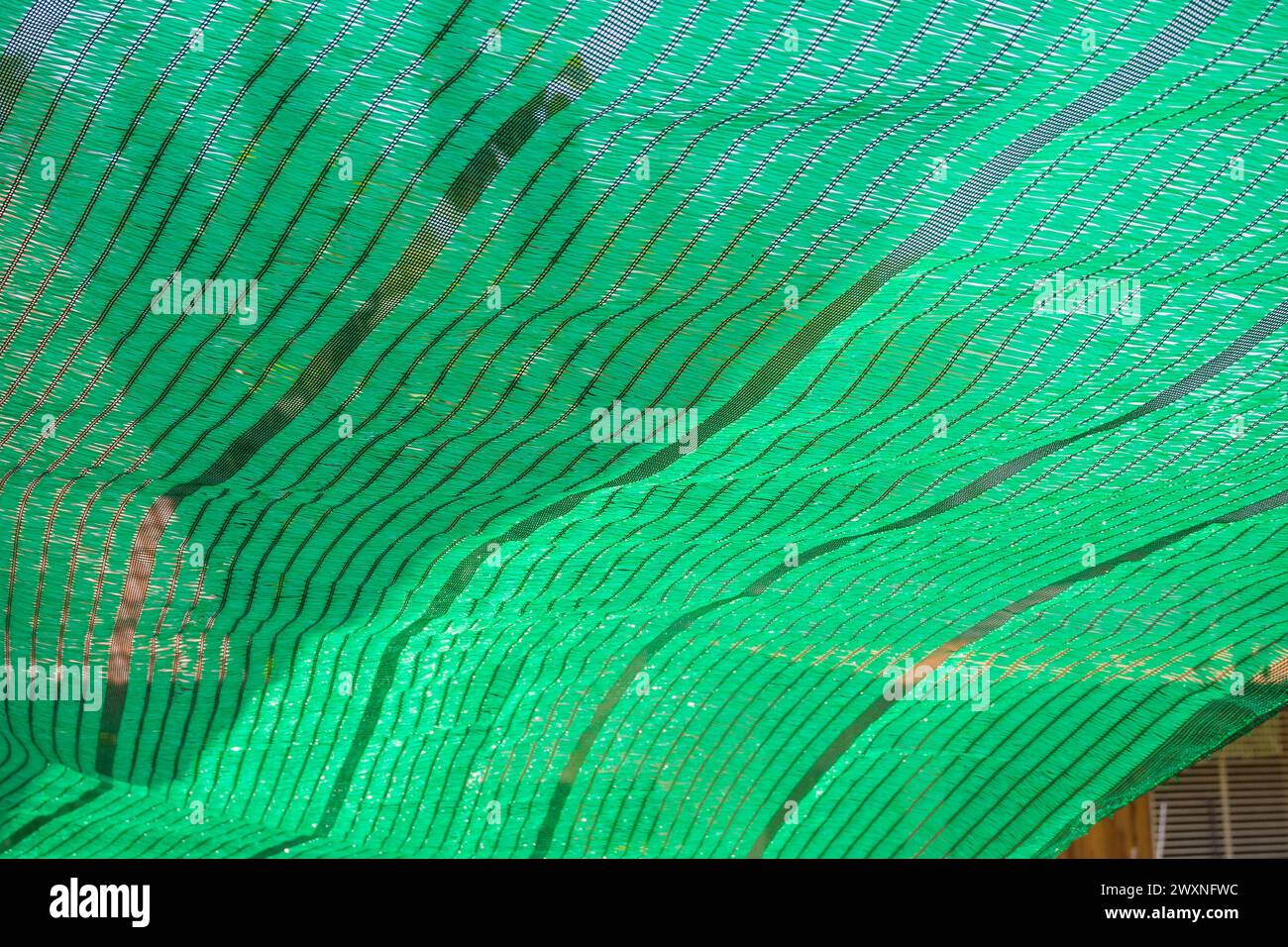 Green Shading Net protect sun light Stock Photo - Alamy