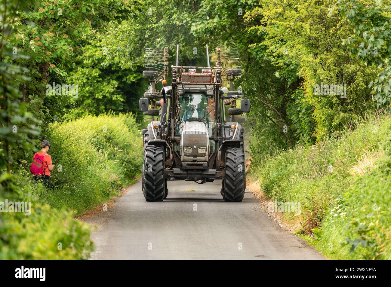 Tractors pulling wagons of haylage England Stock Photo - Alamy