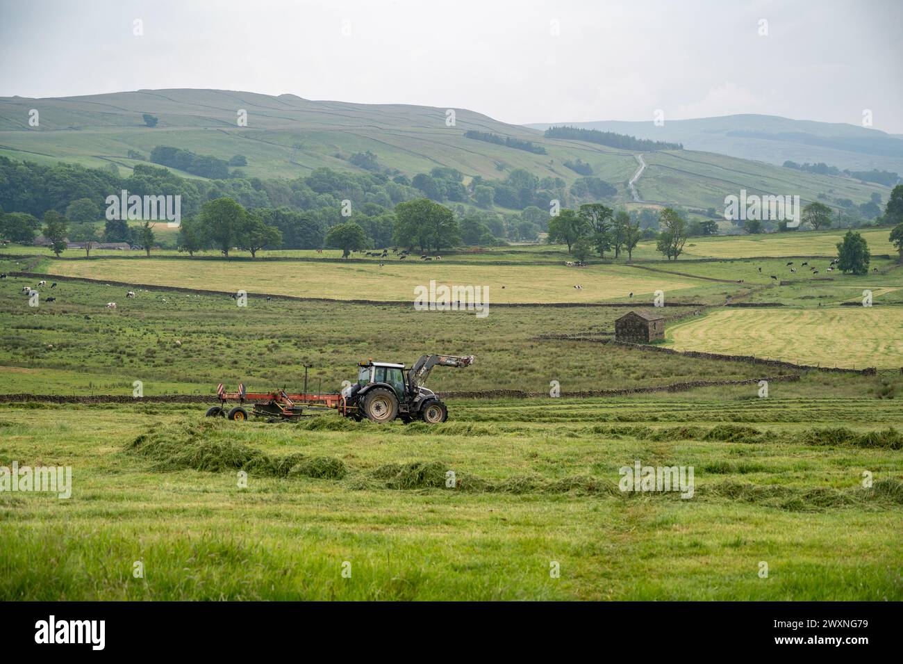 Tractors pulling wagons of haylage England Stock Photo - Alamy