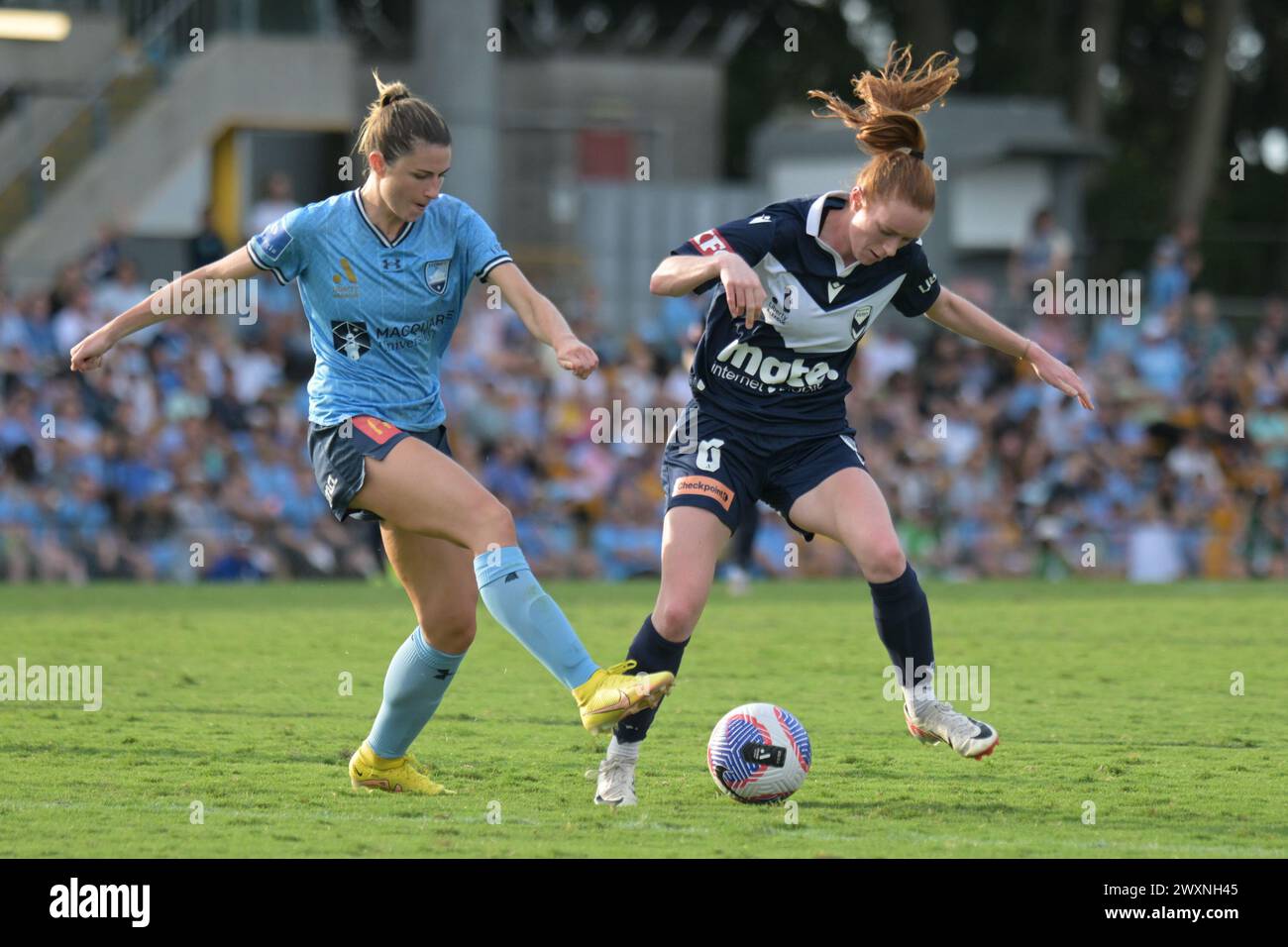 Beatrice southby goad hi-res stock photography and images - Alamy