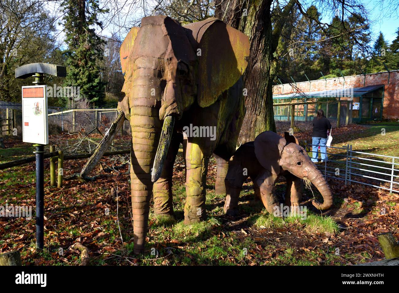 Camperdown park, dundee hi-res stock photography and images - Alamy