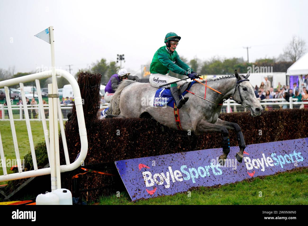 Intense raffles horse hi-res stock photography and images - Alamy