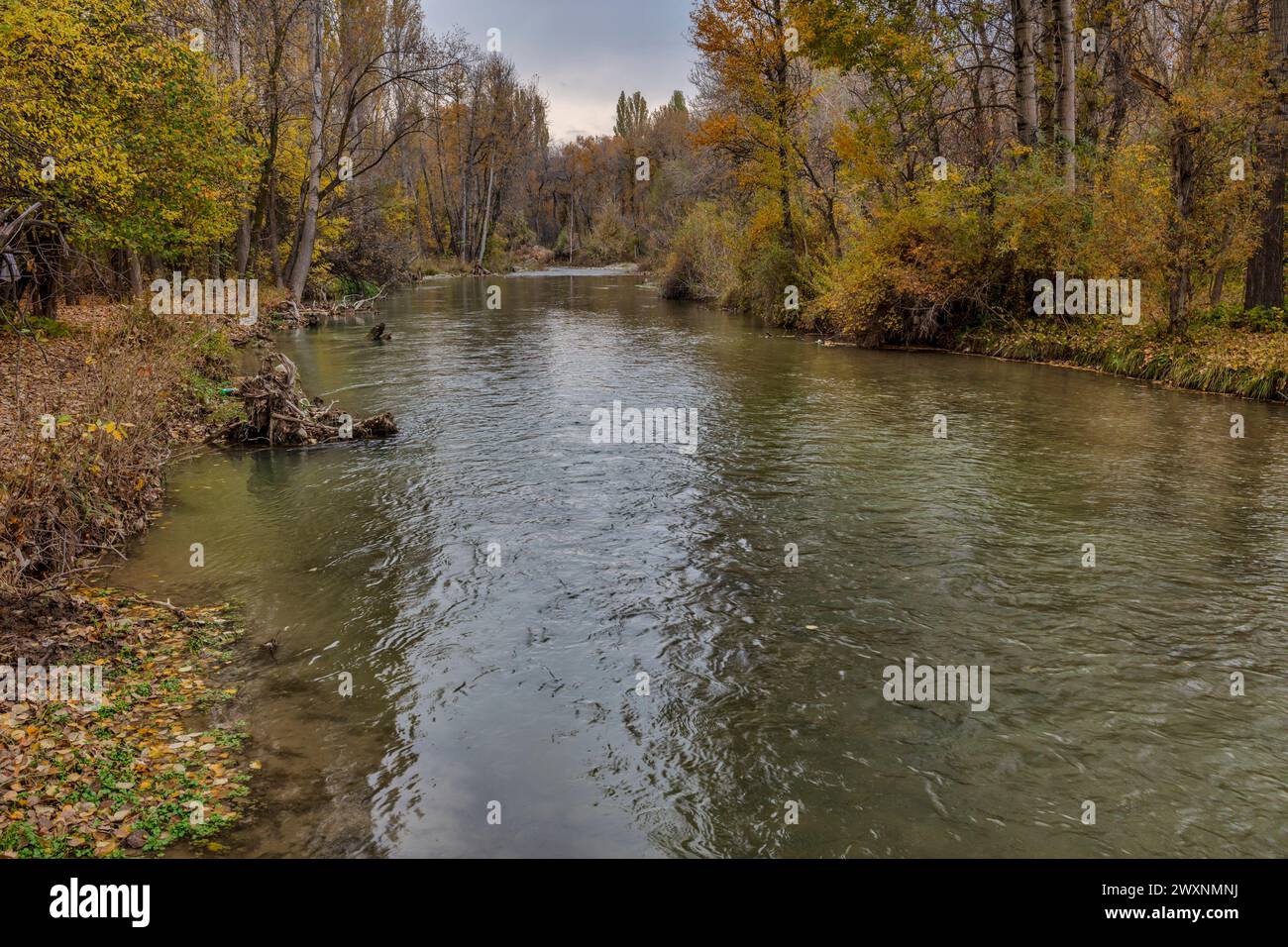 Talas river hi-res stock photography and images - Alamy