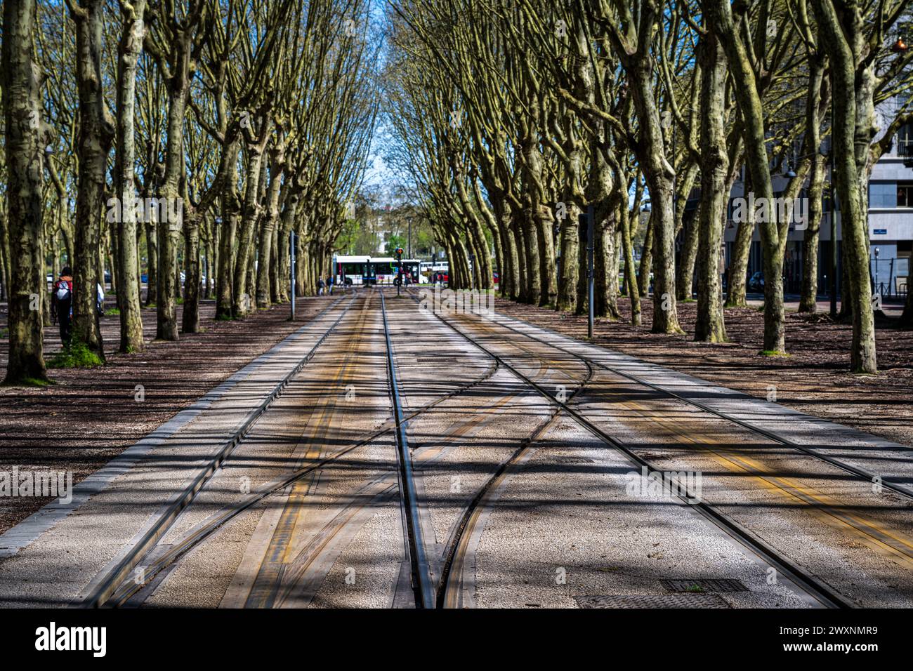 A photo of tram tracks that make a path through Quinconces Park in ...