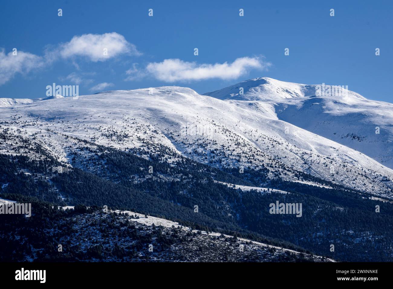 Snow-capped Puigmal and Ripollès mountains, seen from Pla d'Anyella ...
