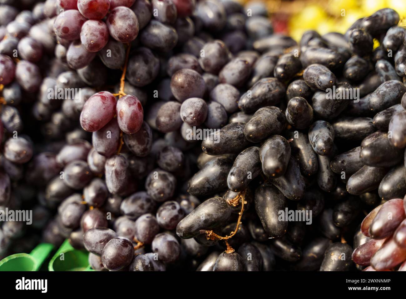 Blue grapes lie on a farmer's market counter. Close-up Stock Photo - Alamy