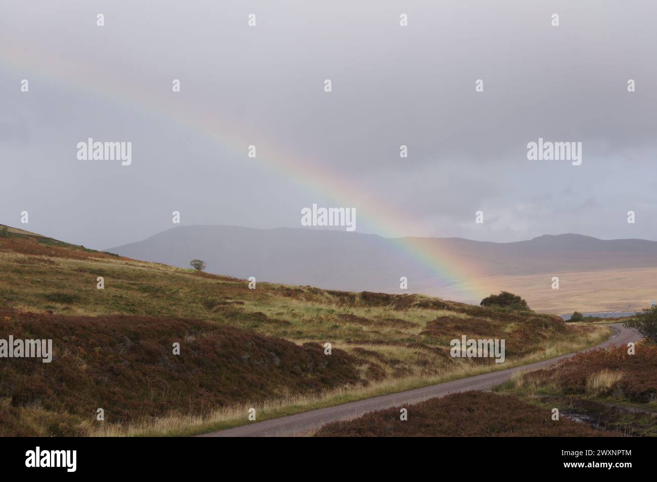 Heather sutherland hi-res stock photography and images - Alamy