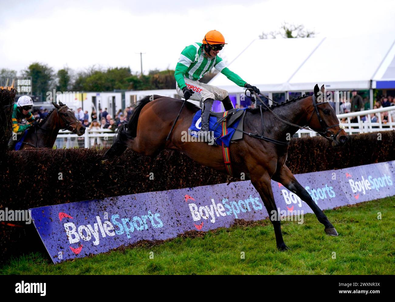 Macdermott fairyhouse hi-res stock photography and images - Alamy