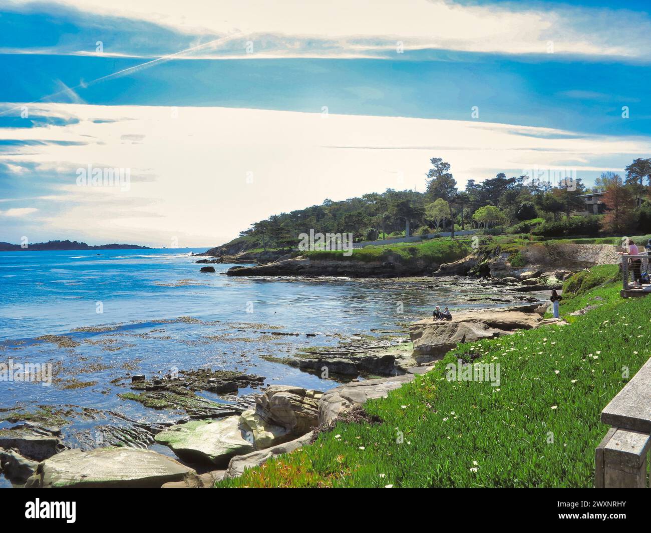 Pebble Beach, California, USA 21st March, 2024 Tourists take in the ...