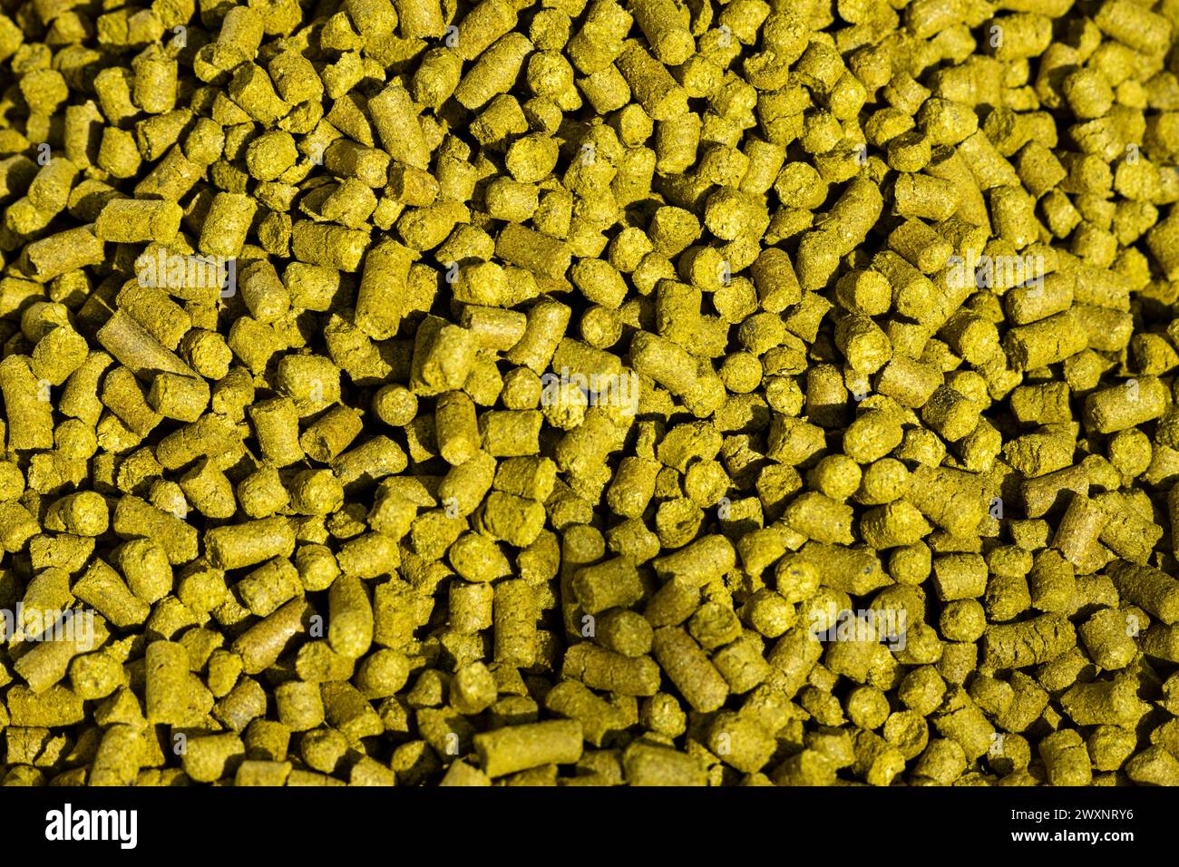 Hop pellets hi-res stock photography and images - Alamy