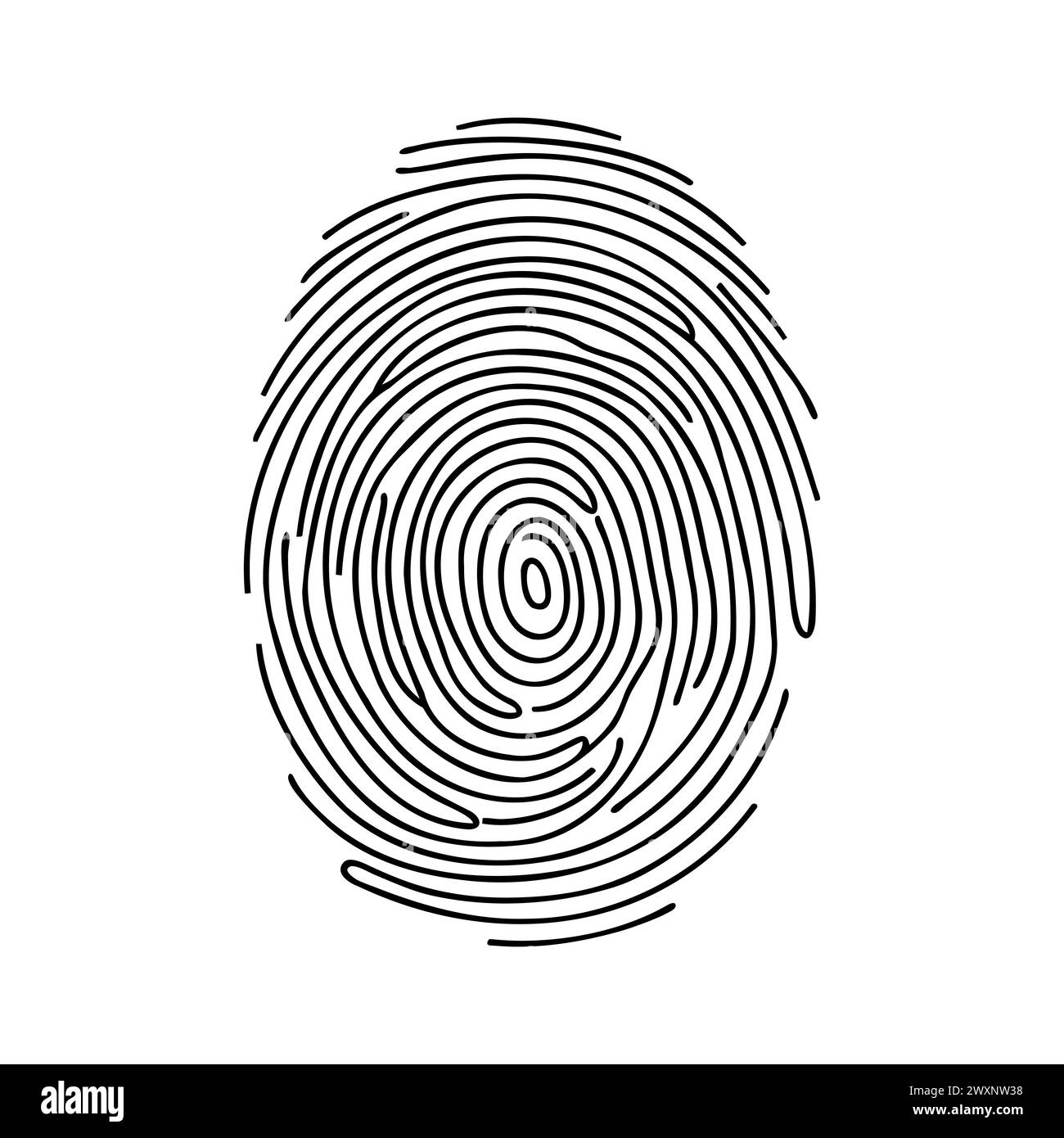 Linear drawing of a fingerprint. Continuous line drawing of biometric scan symbol on white ...