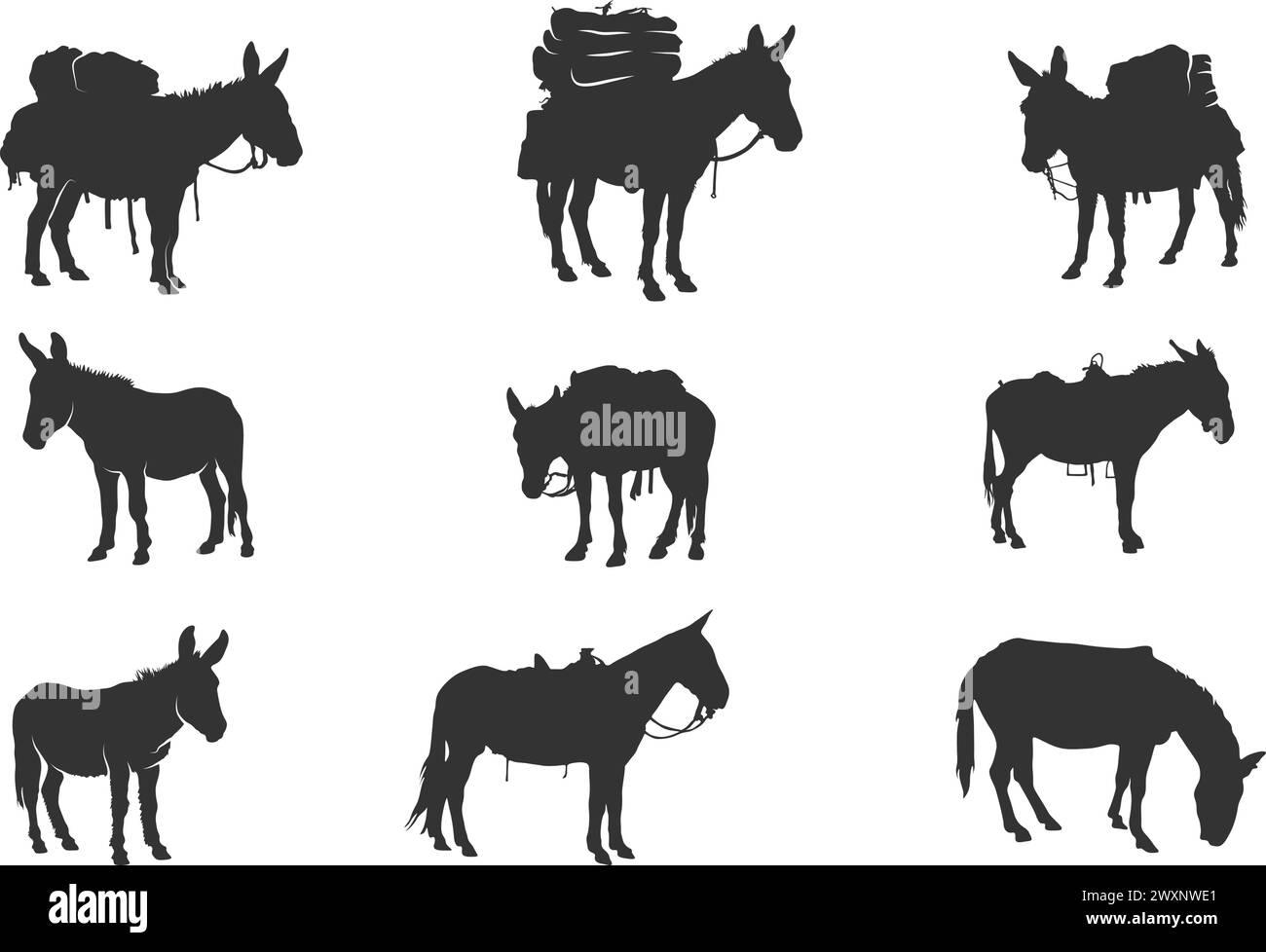 Pack mule drawing vector vectors hi-res stock photography and images ...