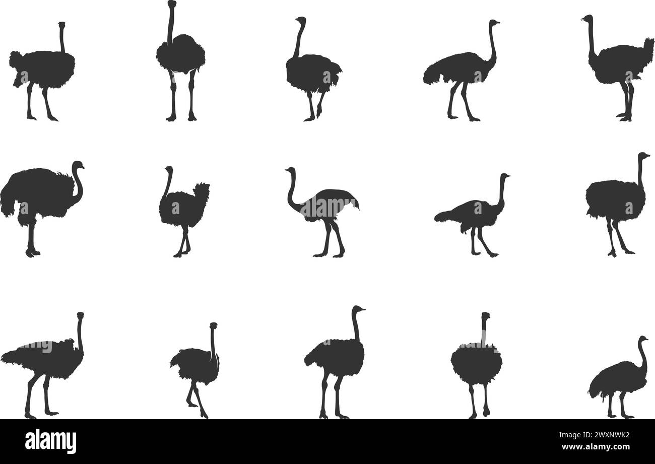 Ostrich silhouettes, Ostrich vector illustration, Ostrich clipart ...