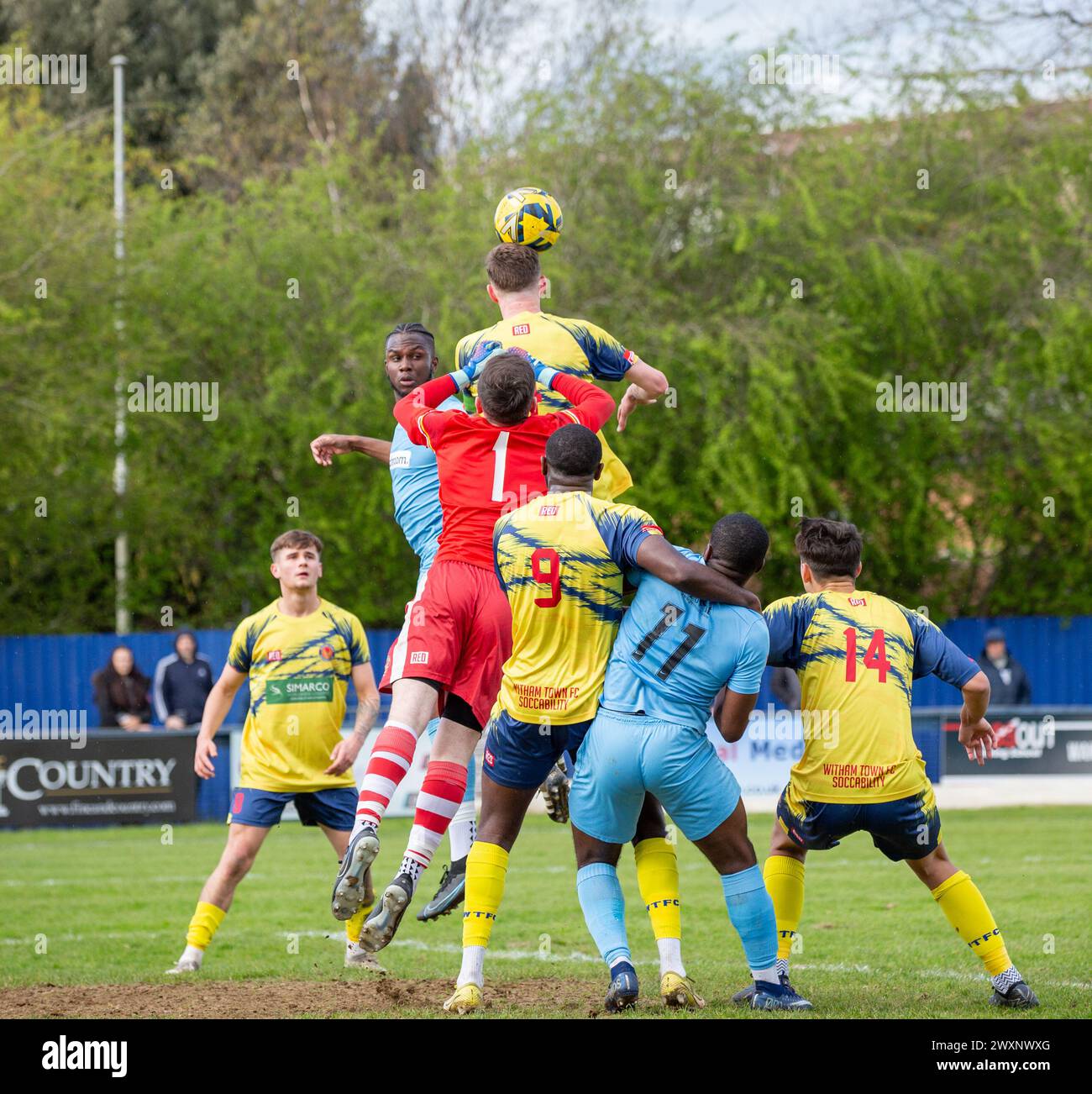 Brentwood, Uk, Essex 1st Apr 2024 Brentwood Town Football club v Witham ...