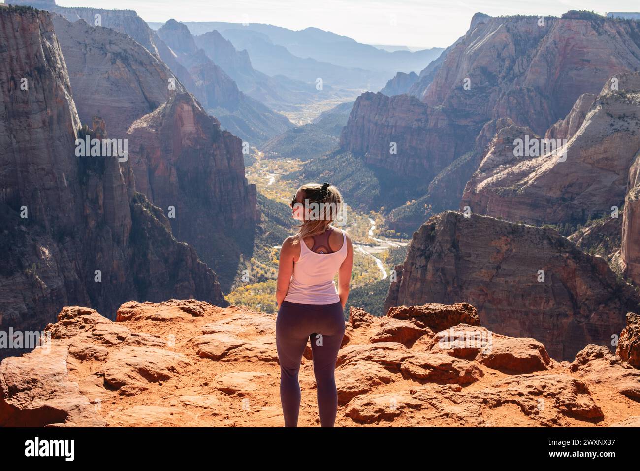 View over the Zion valley towards Angel's Landing seen from Observation ...