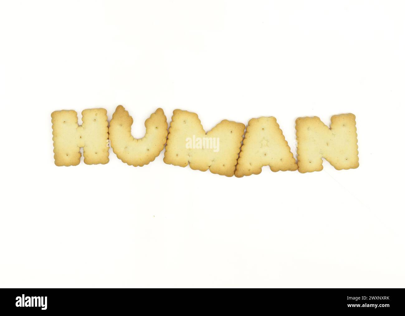Capital letter shaped biscuits forming word human isolated on white ...