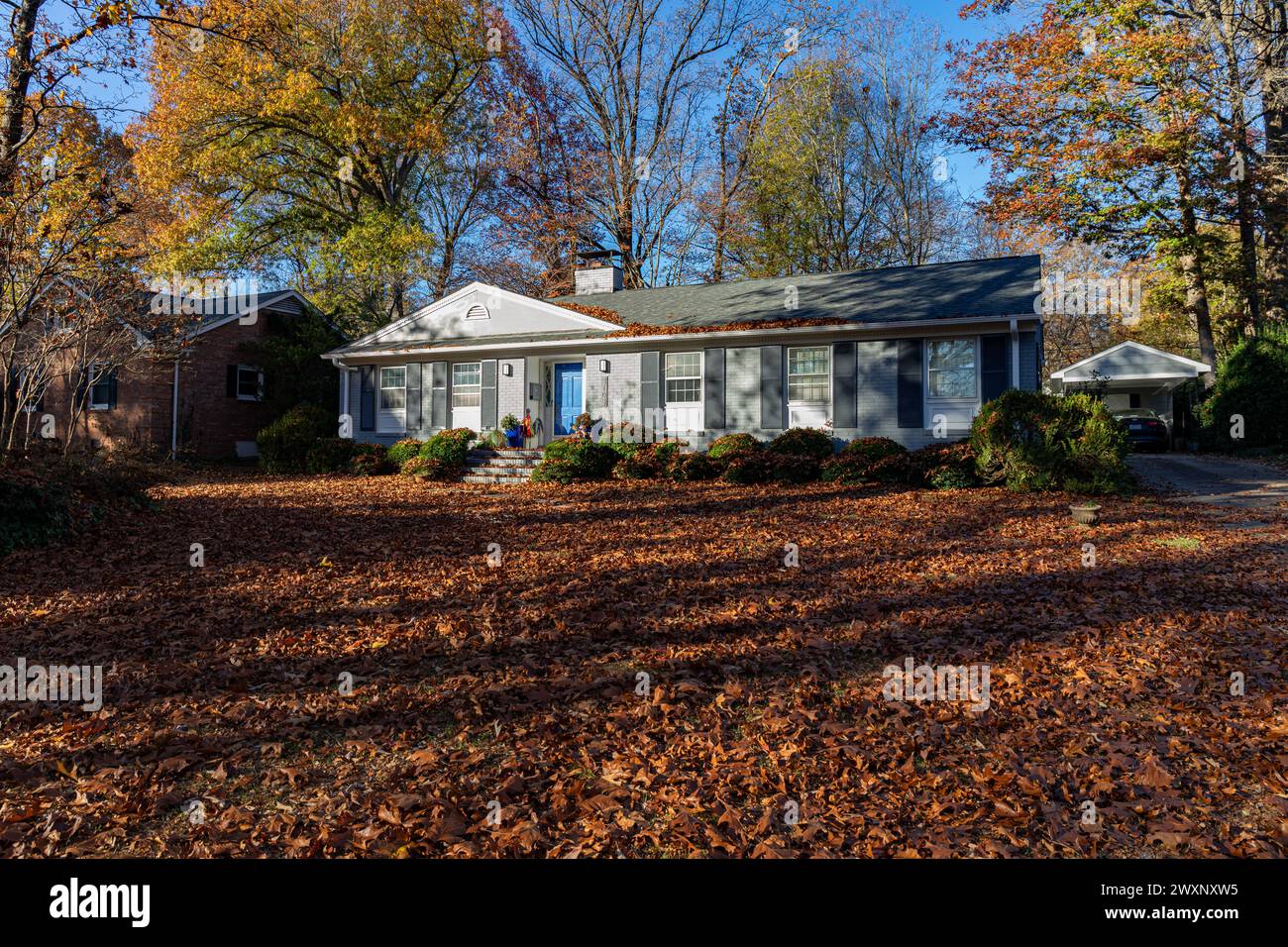 House and yard completely covered in fall leaves, leaf litter clean up ...