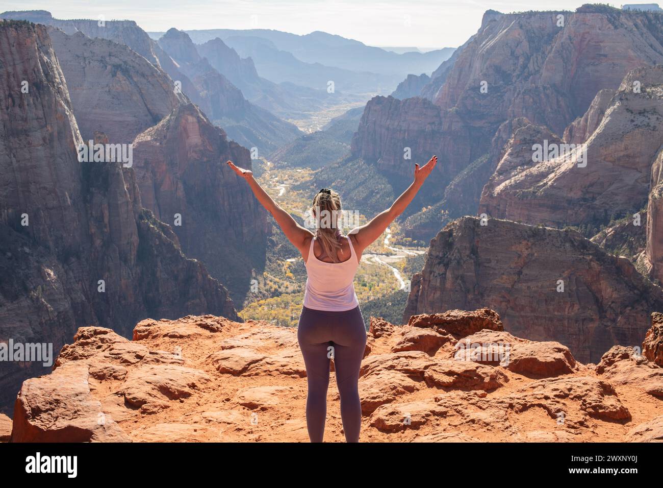 View over the Zion valley towards Angel's Landing seen from Observation ...