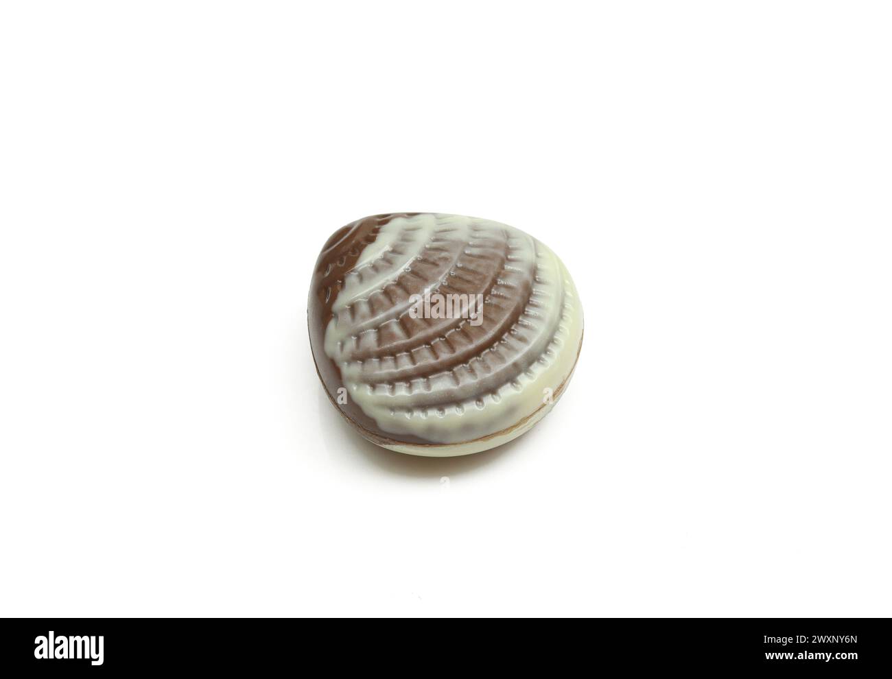Chocolate praline shaped like seashell isolated on white background ...