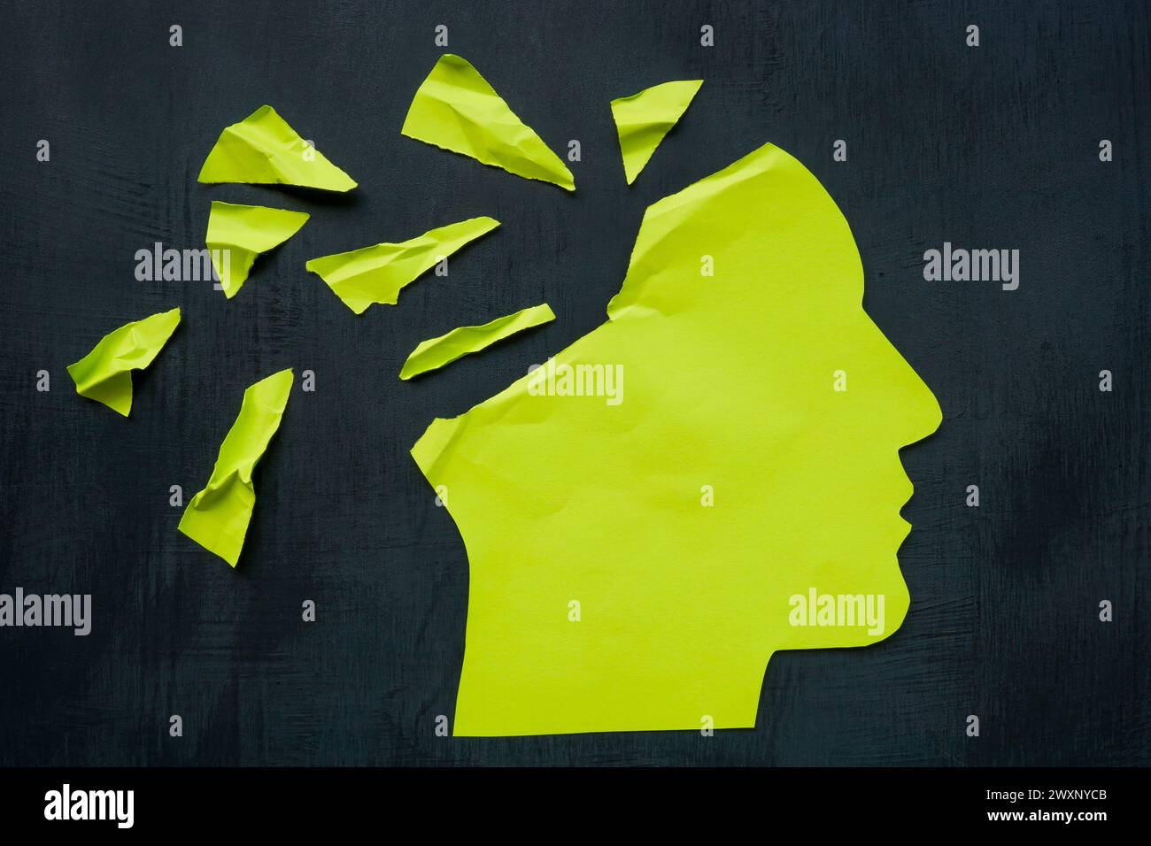 Paper head torn as a concept for memory and mental health problems ...